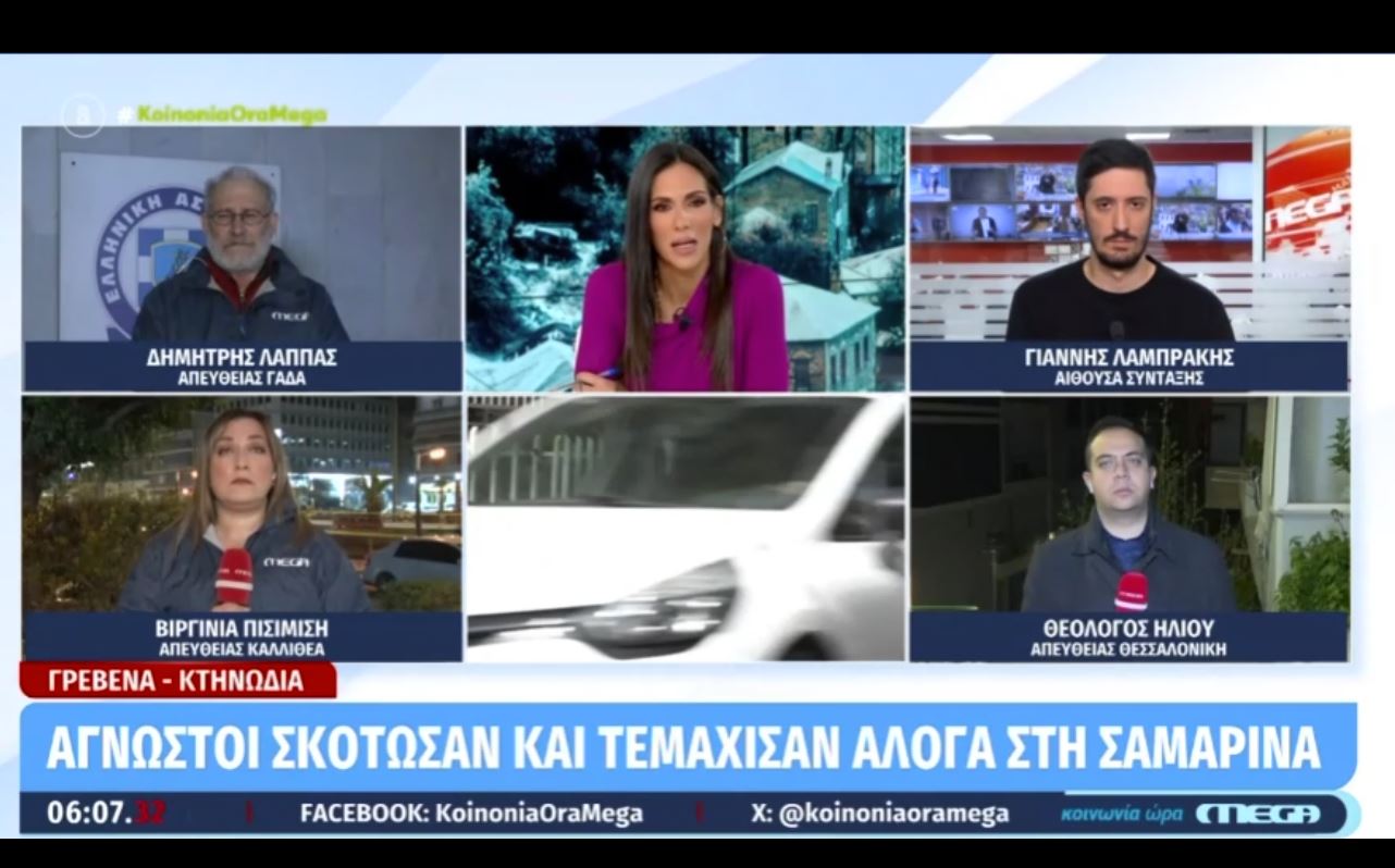 Στην πρωινή εκπομπή του Mega το θέμα με τα πυροβολημένα και τεμαχισμένα ...
